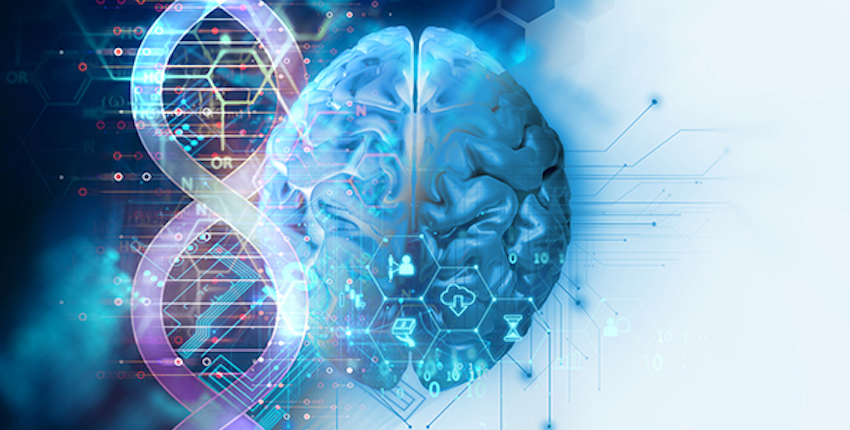 Decoding Brain Evolution Harvard Medical School Decoding Brain Evolution Harvard Medical School